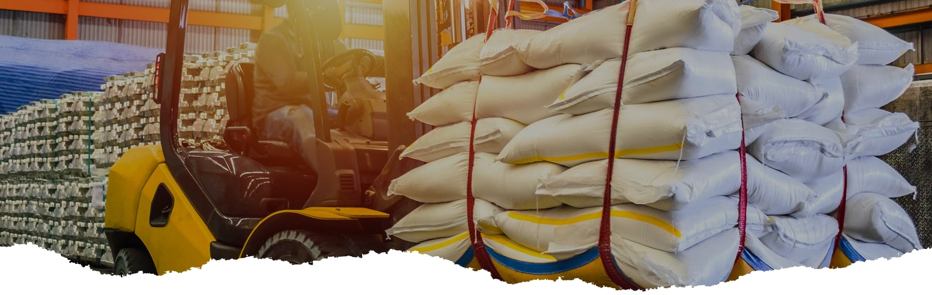 Best Supply Chain Management Solutions | Rema FoodsRema Foods